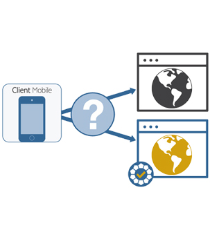 InAuth Device Fingerprinting - IHS Technology